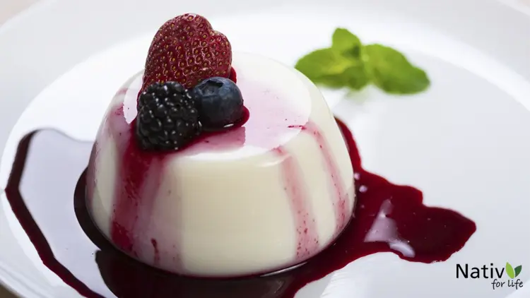 Pannacota de Berries - Nativ For Life